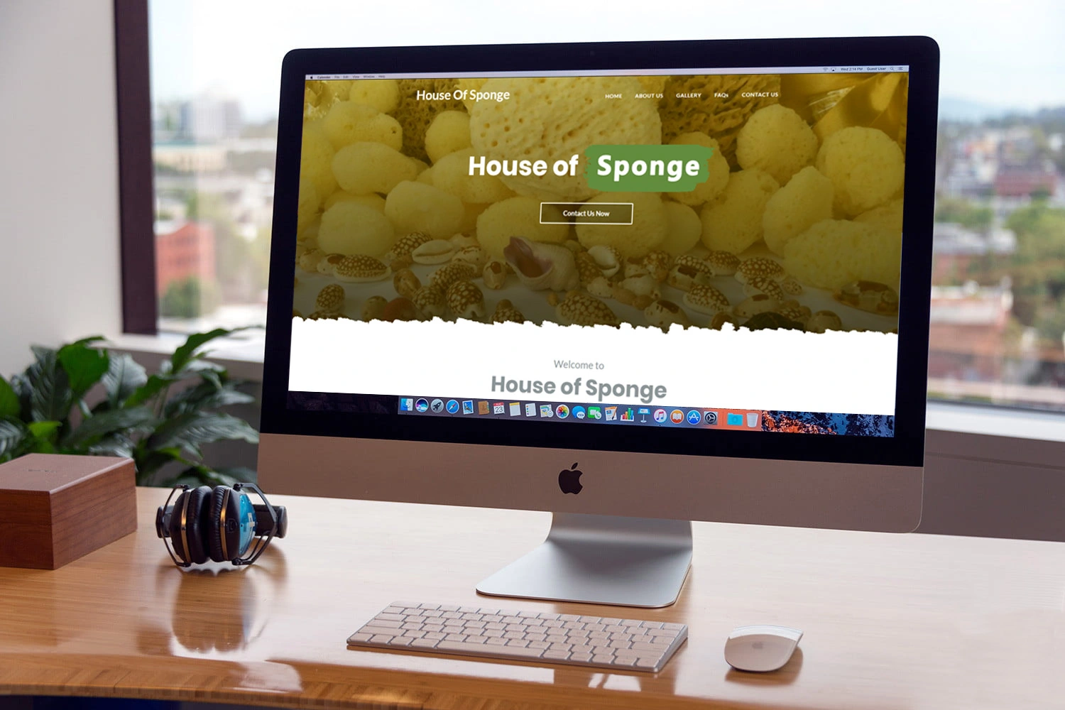 Portfolio - House of Sponge | Go4Global